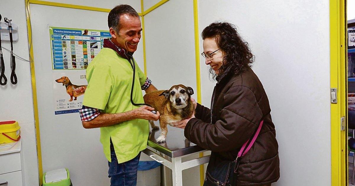 La esperanza de vida de los perros en Vigo subió 4 años