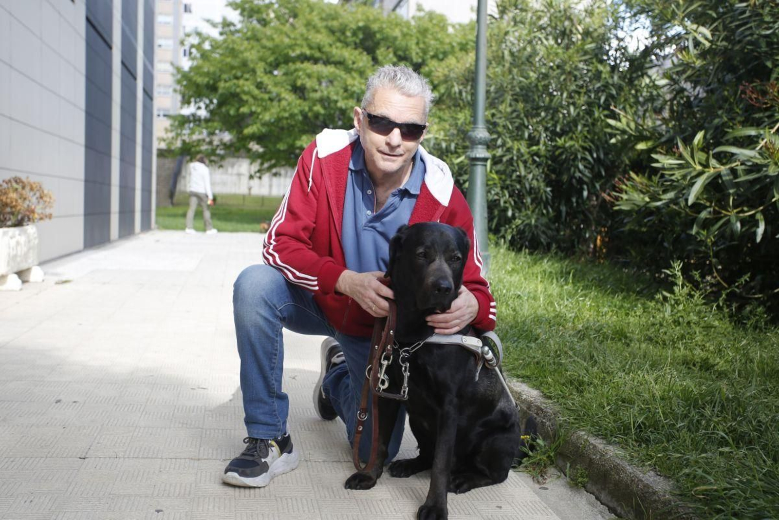 Así trabajan los perros guía en Vigo: "Llevan el traje de superhéroe"