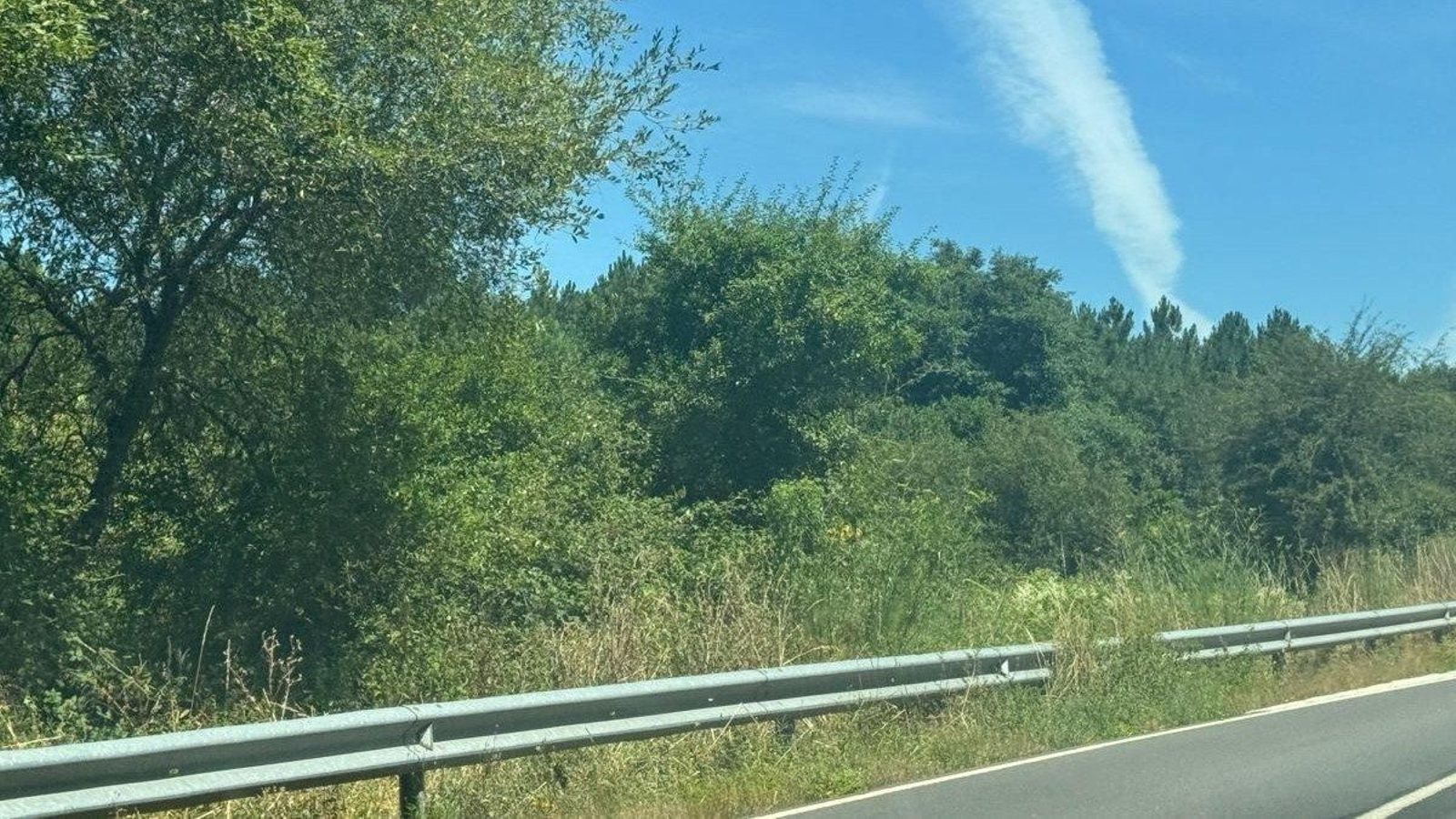 ¿Sabe usted que la maleza en las carreteras ourensanas se está tragando ...