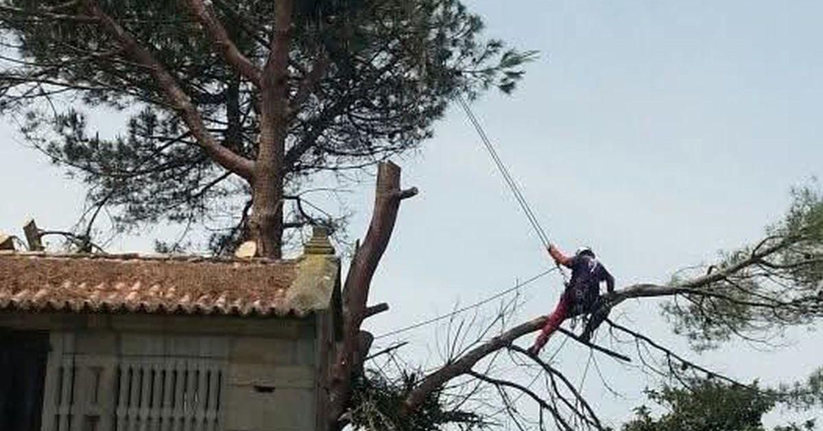 Trabajar a 30 metros de altura colgado de una cuerda a los árboles