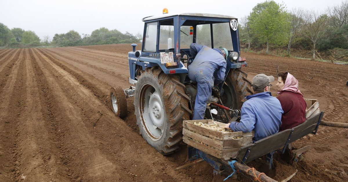 A Limia busca minorar el impacto que ocasiona la Zepa