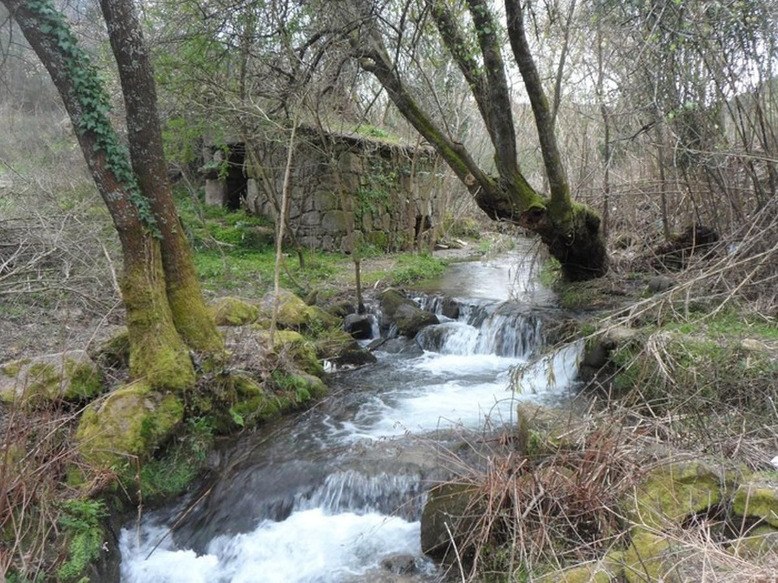 Tui organizará un taller para la recuperación del río Furnia