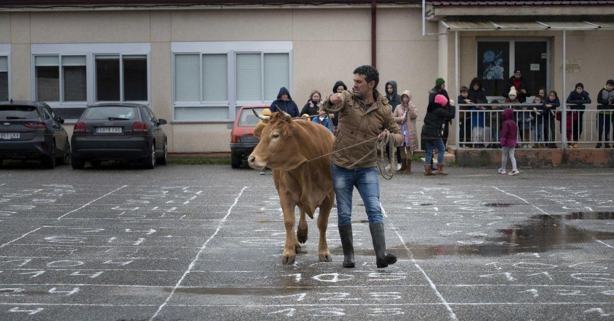 La caca de la vaca vuelve a repartir los 1.000 euros en A Mezquita