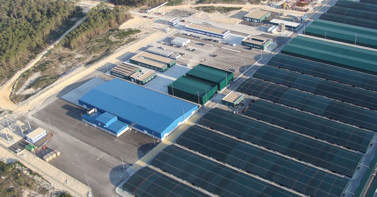 Pescanova se desprende de su planta de Mira en Portugal