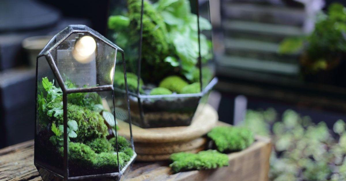 Los jardines eternos, ¿qué son?