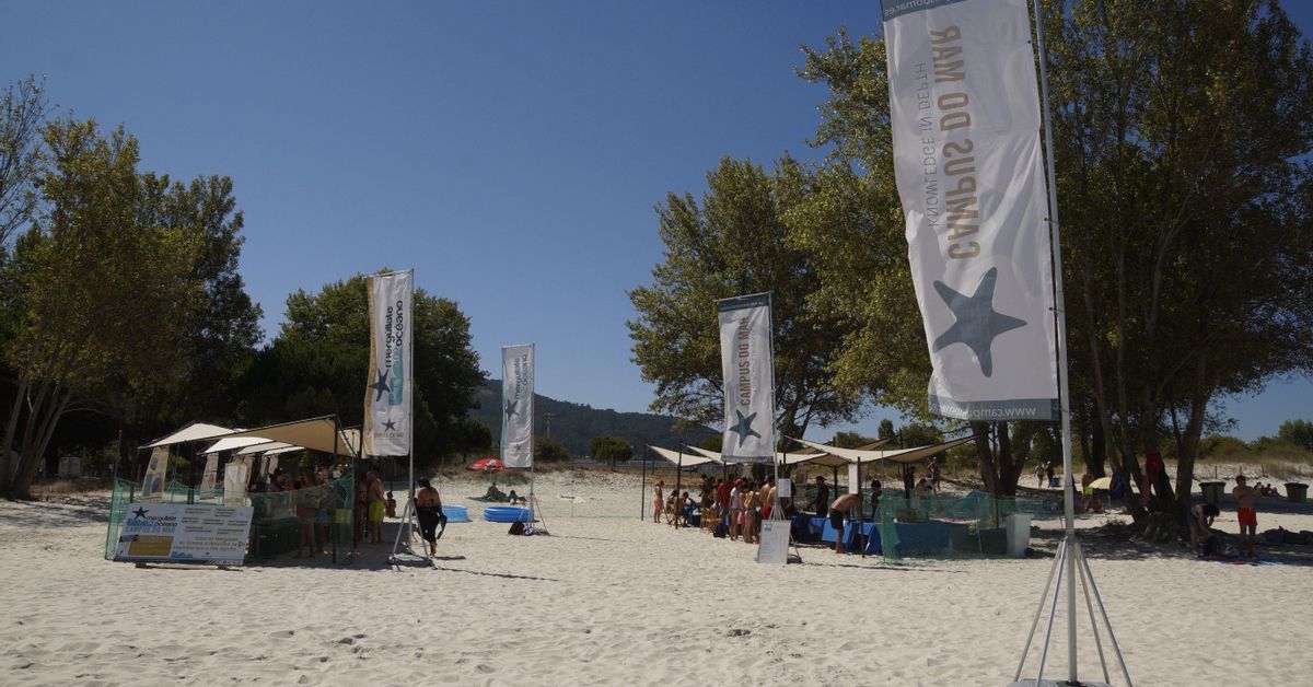 Un viaje fantástico desde el oído del pez a la talla del boquerón