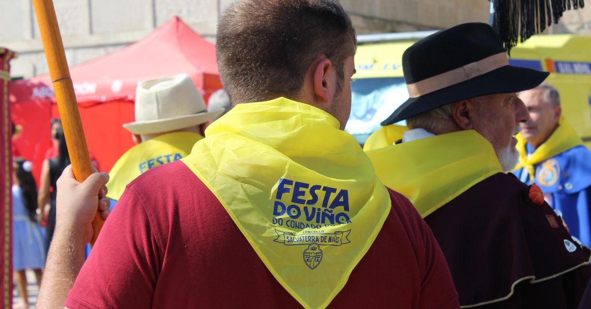 GALERÍA | Jolgorio y alegría en la LXIII Festa do Viño do Condado do Tea
