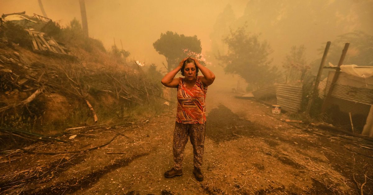 "Vi como un vecino abandonó el coche y al huir fue alcanzado por el ...