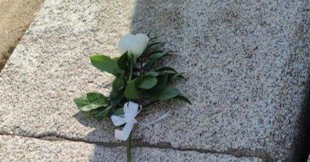 ¿Sabe usted quién colocó esta rosa blanca sobre la tumba de Valente el ...