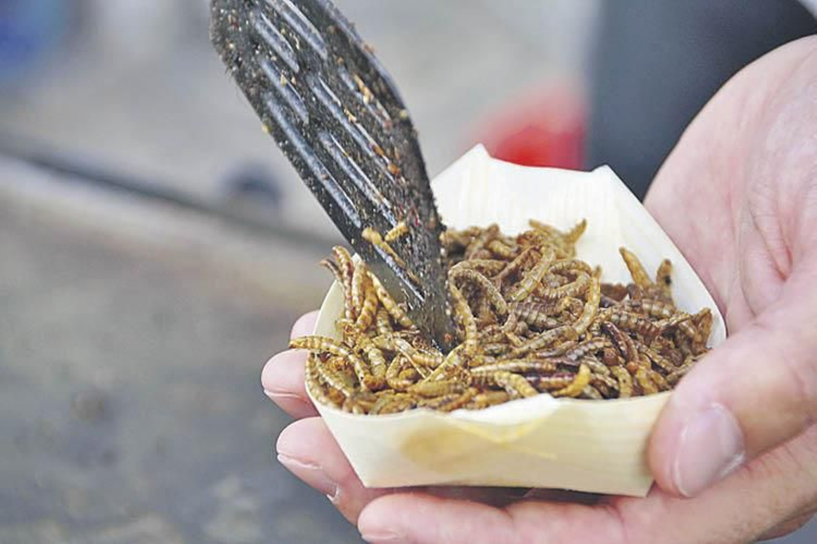 Entomofagia: los insectos como fuente de alimentación