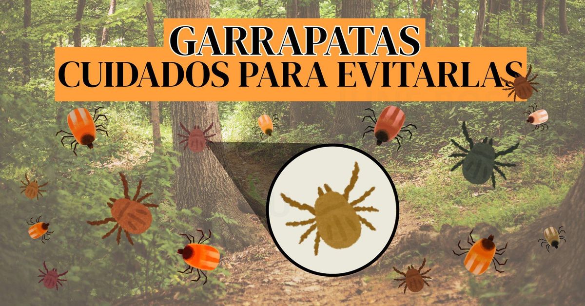 El peligro de la picadura de las garrapatas y cómo evitarlo
