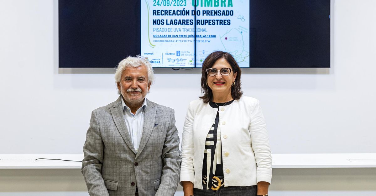 Oímbra pisará en su lagar rupestre unos 600 kilos de uva