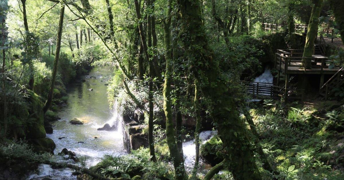 Tesoros de Ourense | Piñor, el antiguo imperio del papel y del lino natural