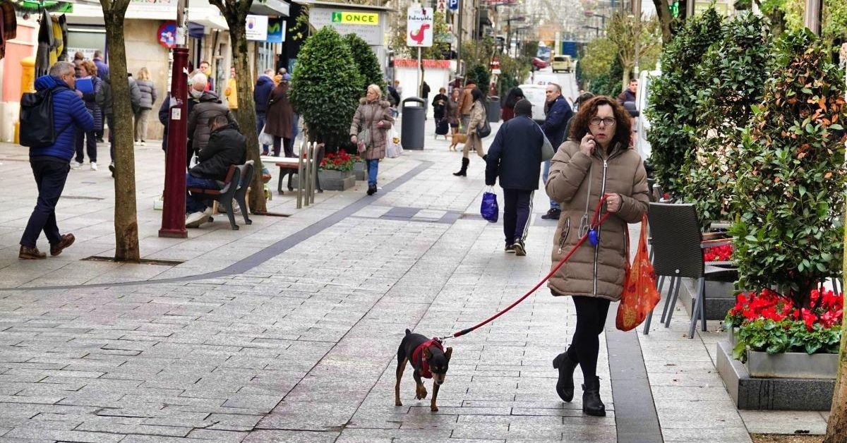 Vigo bate su récord de perros