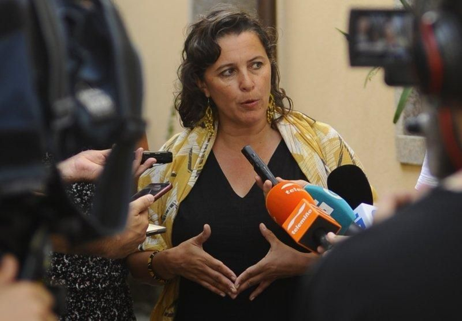 Ana Miranda: "O criterio demográfico é unha oportunidade"