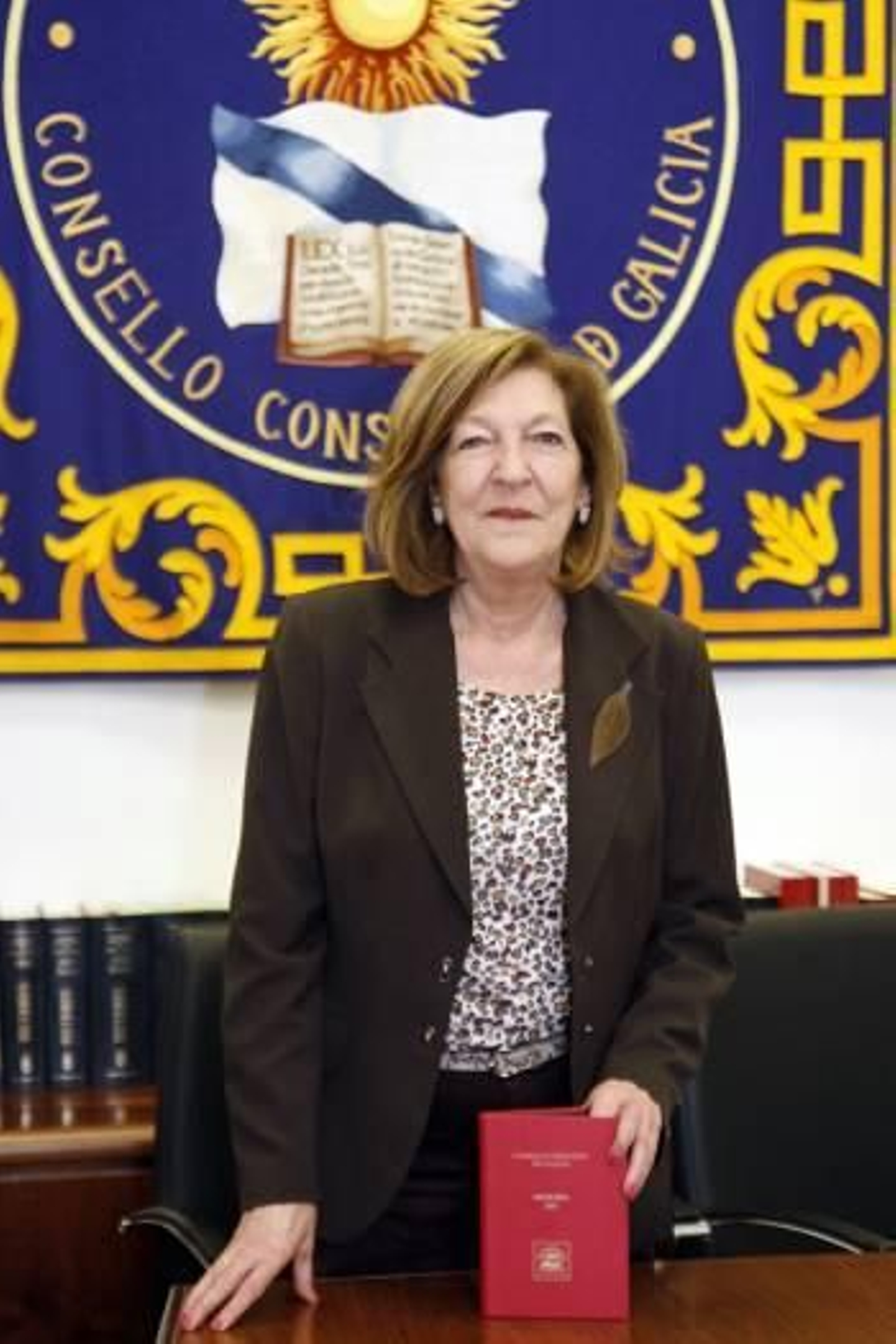 El Consultivo dará su visión de la fusión de Oza y Cesuras el día 29