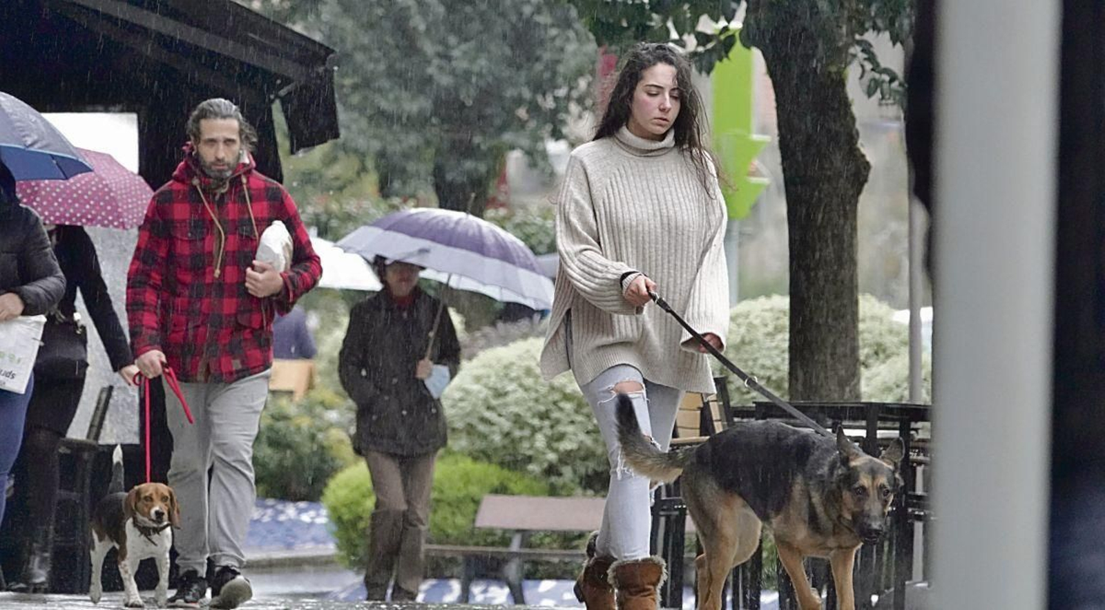 Imparable aumento de perros en Vigo: ya hay casi 50.000, más que ...