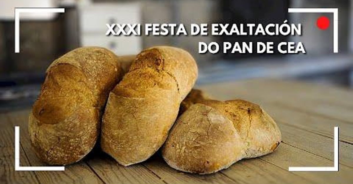 Vídeo | La XXXI Festa do Pan de Cea apuesta por ser un referente del ...