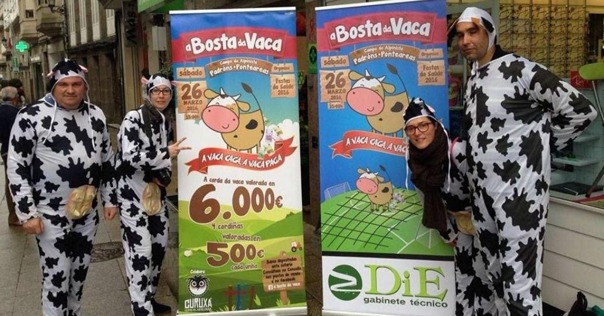 Una 'bosta' de vaca decidirá el ganador de un premio