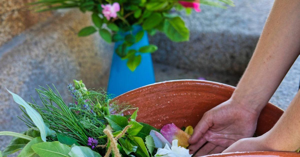 Las siete hierbas de San Juan