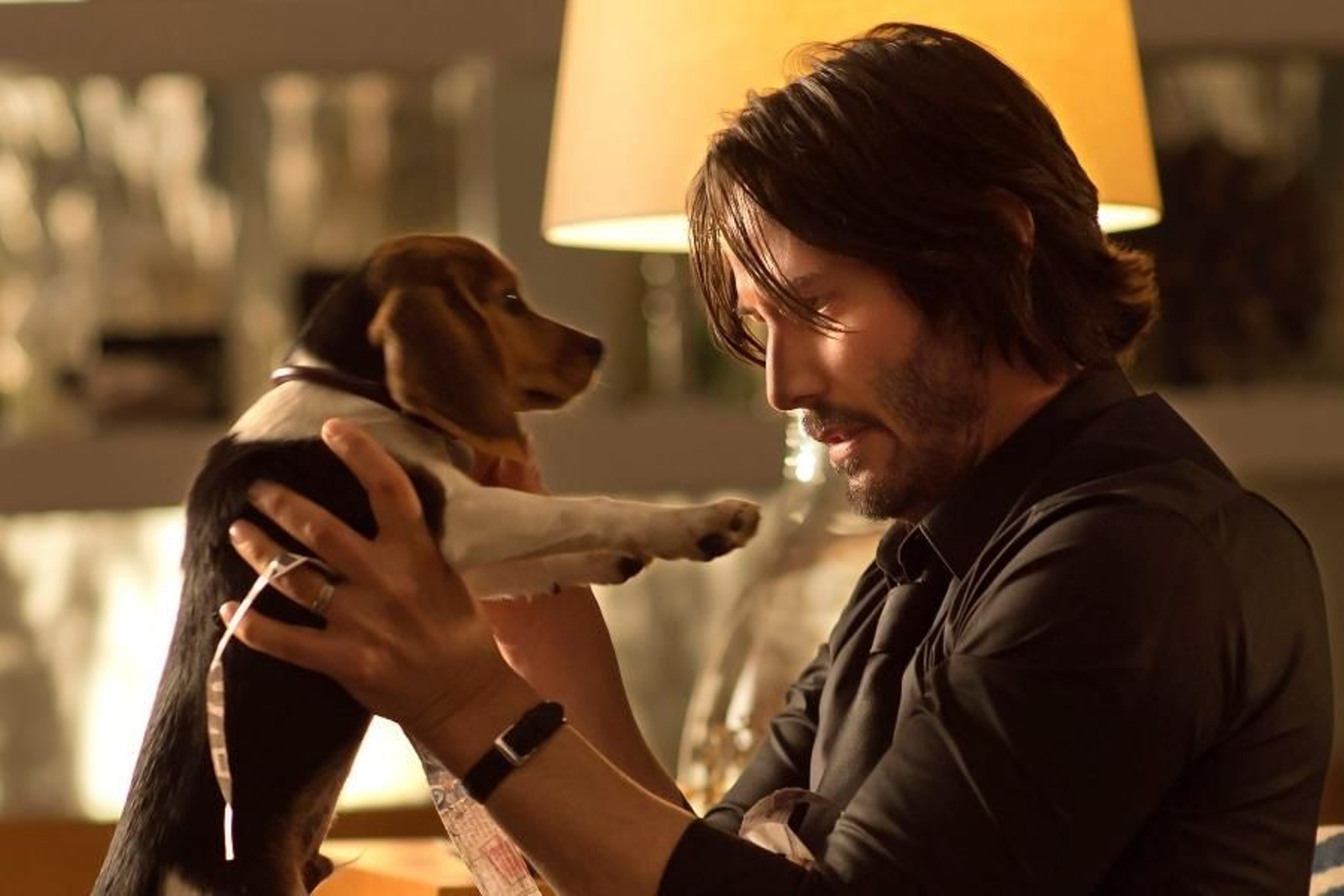 ¿Y si en la peli muere un perrito? La web que te avisa de "spoilers ...