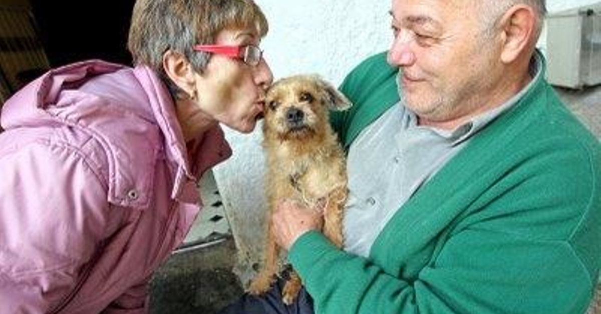 Surge una nueva iniciativa para adoptar mascotas en Vigo