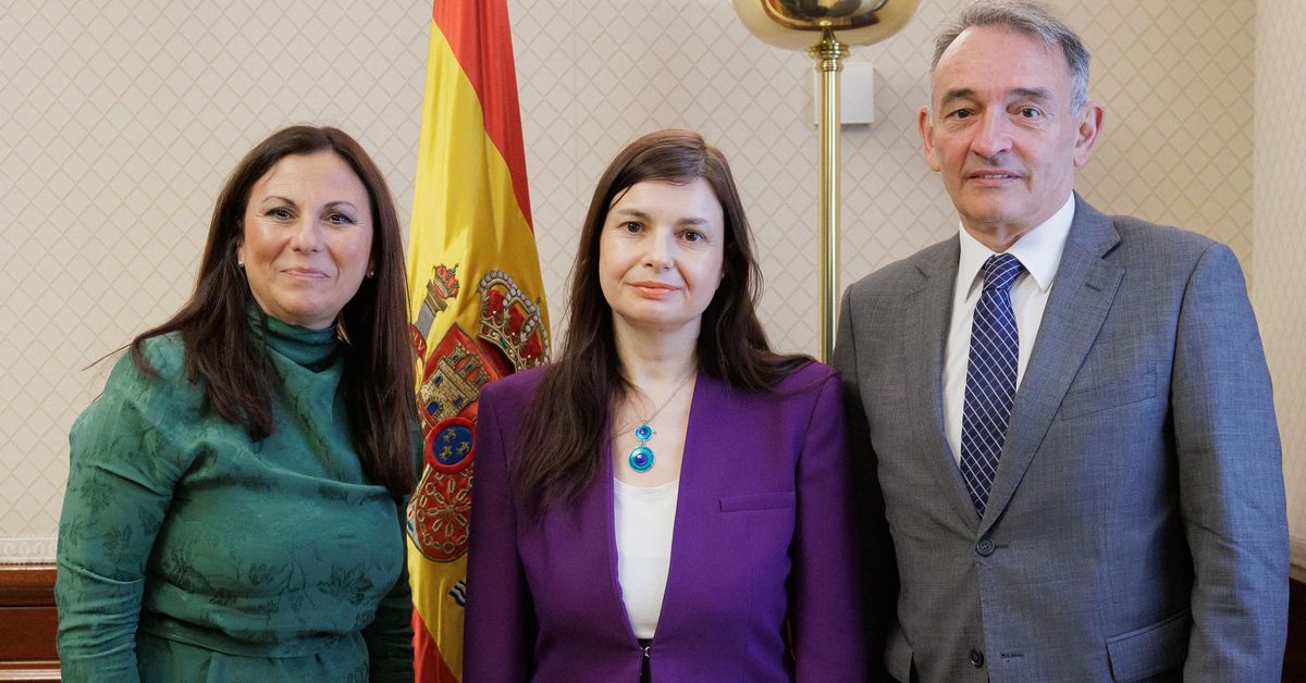 Violeta Alonso lleva al Congreso la urgencia de reforzar la red ...