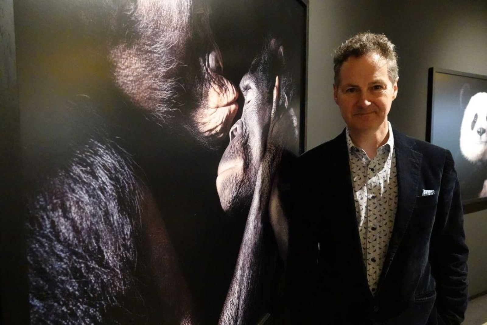 Familiaridad animal de Tim Flach