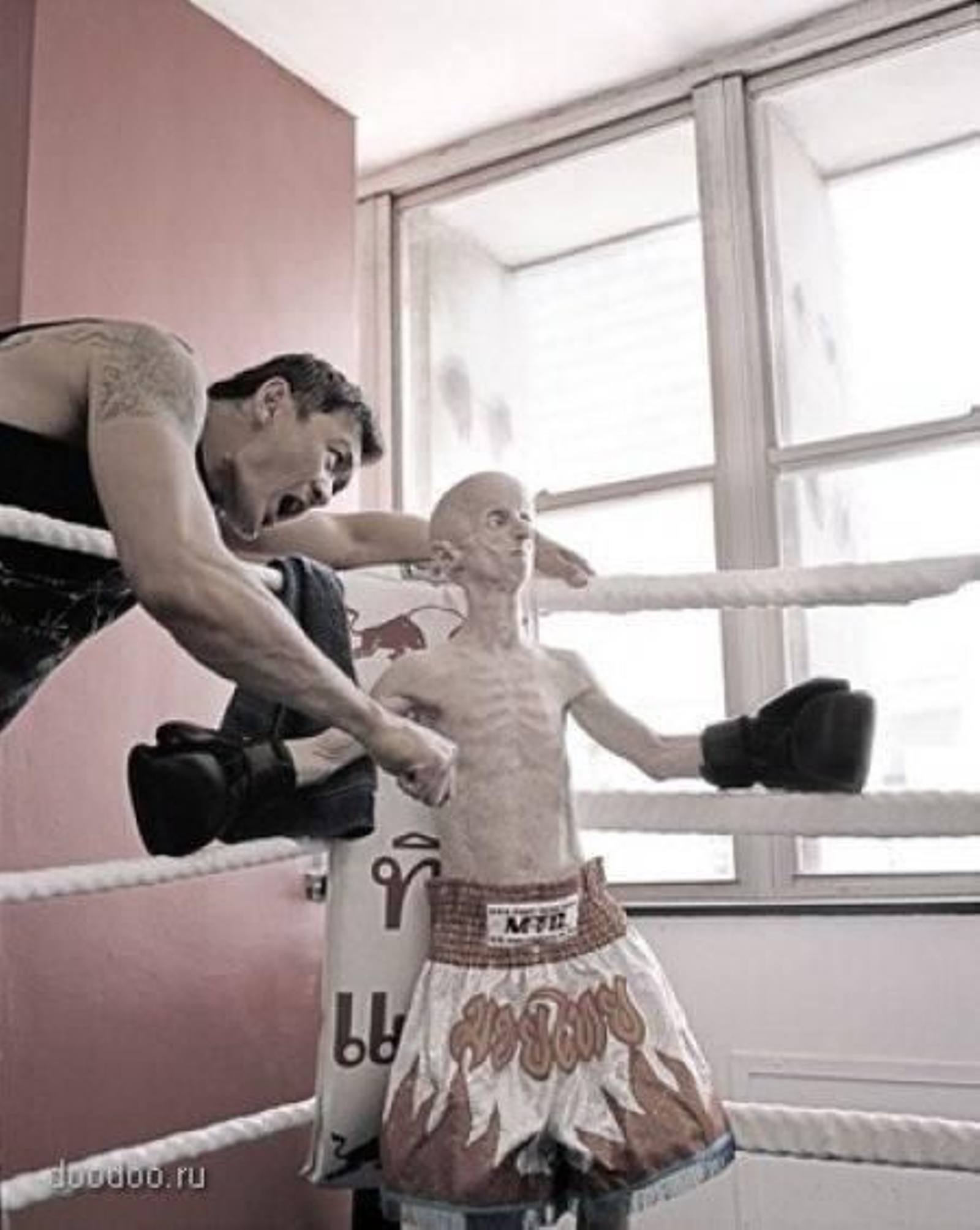 La galería de fotos artisticas de León Botha
