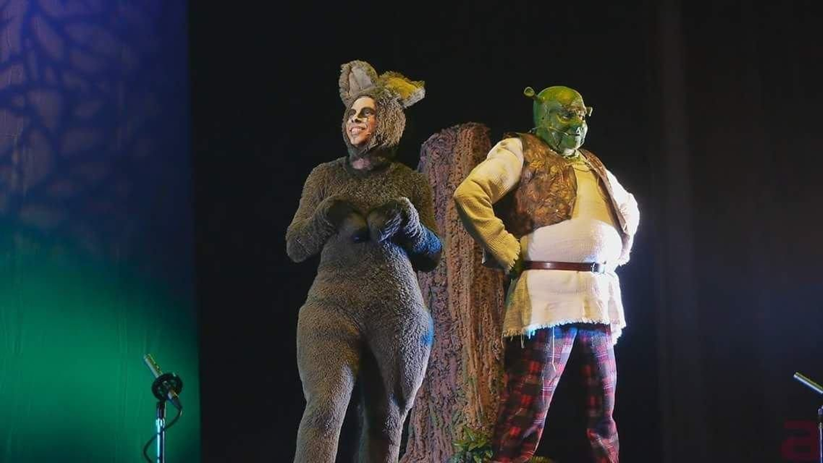 “Shrek’ é unha historia máis sinceira e real que os contos de princesas ...