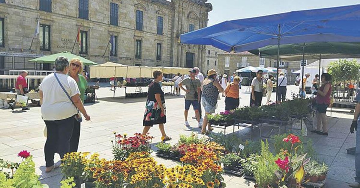 Celanova se adhiere a una red rural para captar “urbanitas”
