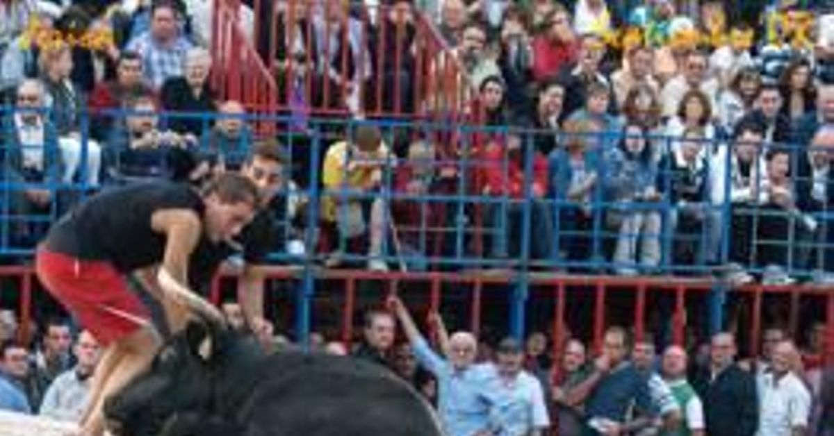 El toro 'Ratón' se cobra su tercera víctima en cinco años