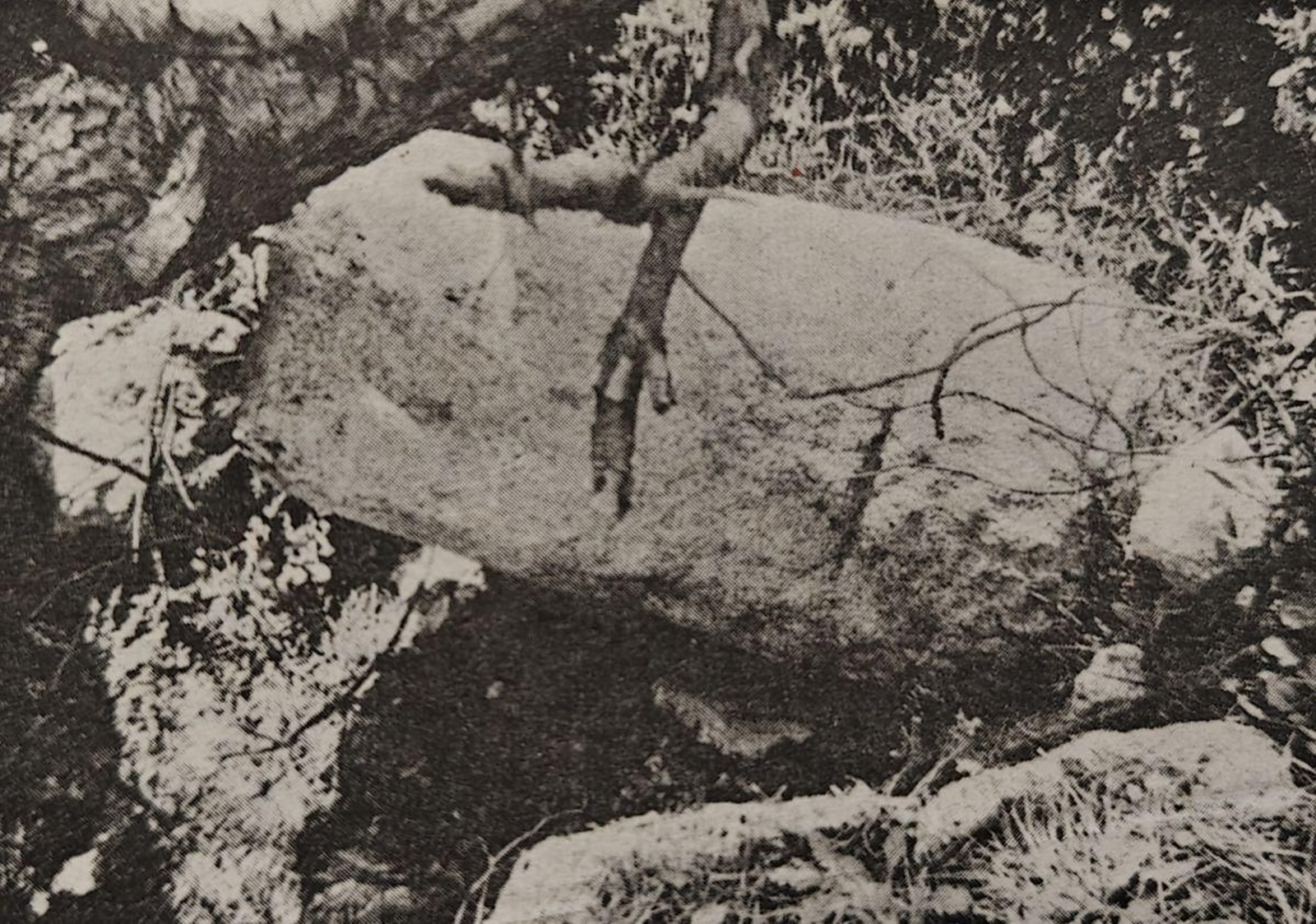 Historia en 4 tiempos | Un día como hoy: "Hallazgo arqueológico en La ...