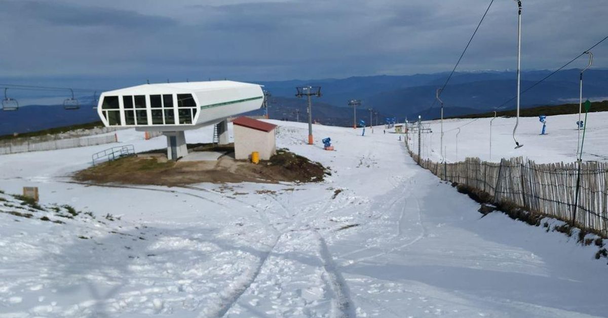 Meisa aprueba el pliego para la contratación de la gestión de la ...