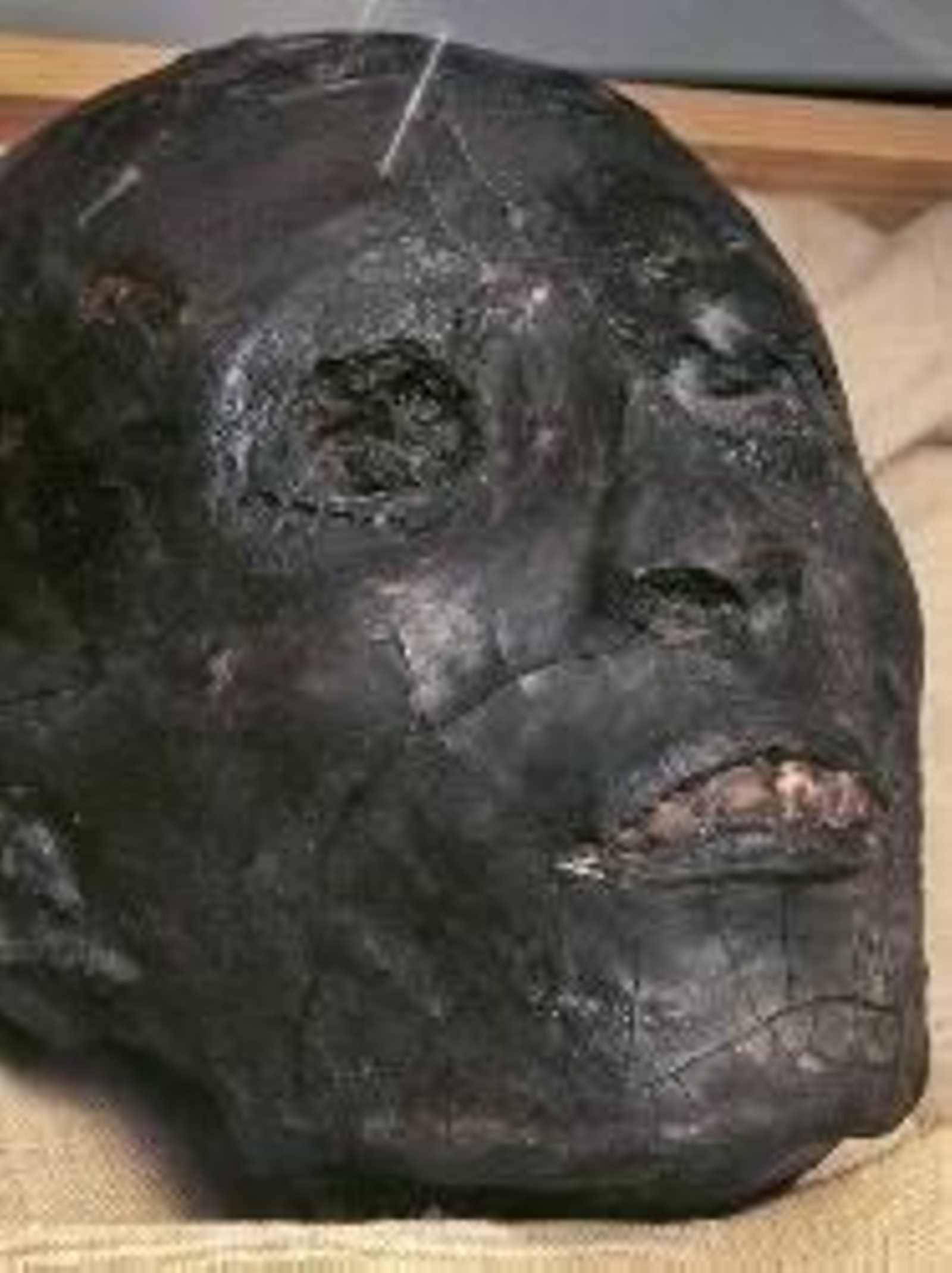 Luxor acoge por primera vez la exhibición al público de la momia del ...