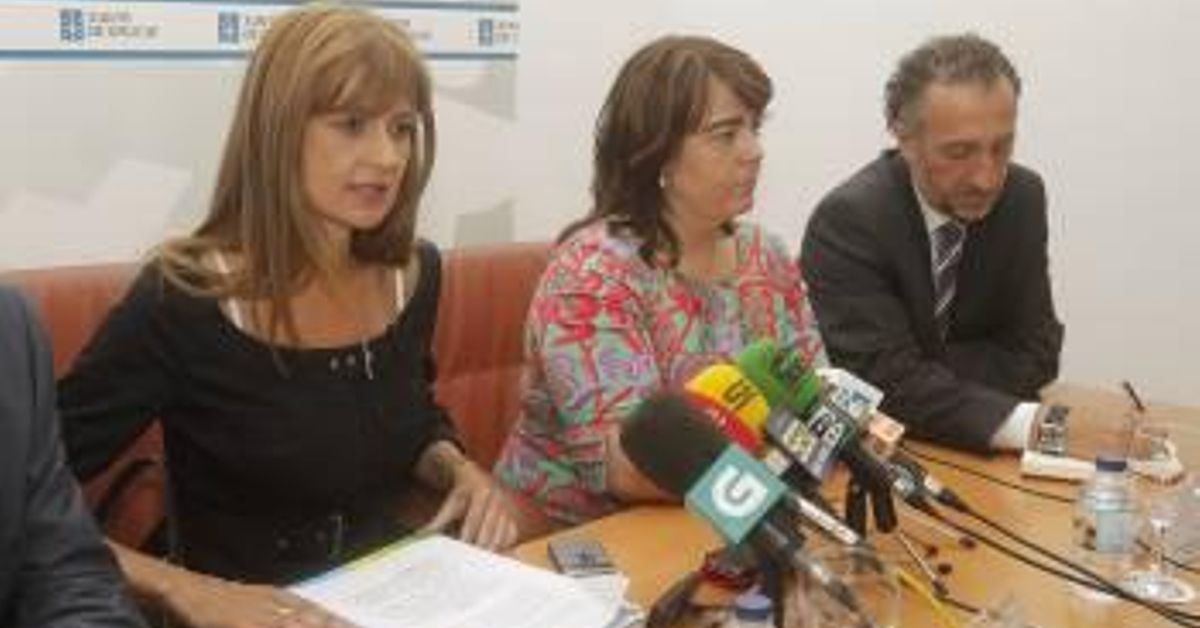 Meisa formaliza la entrada de Mas Costas con las acciones de Novagalicia