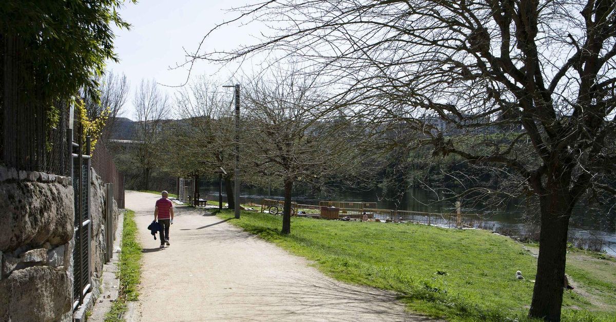 ¿En qué consiste la regla 3 30 300?